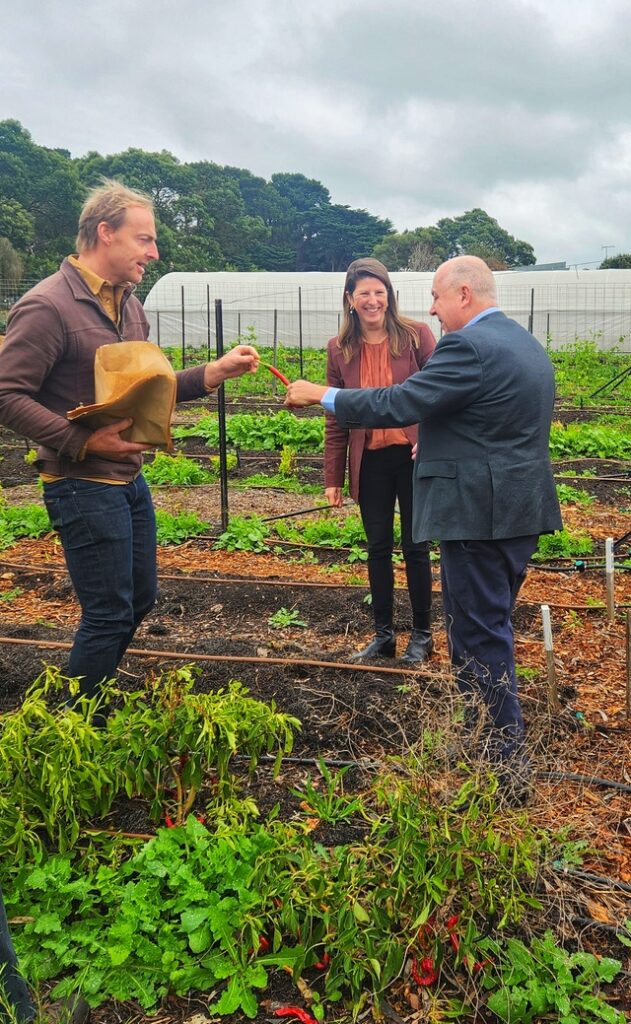 Farm My School continues | Ocean Grove Voice